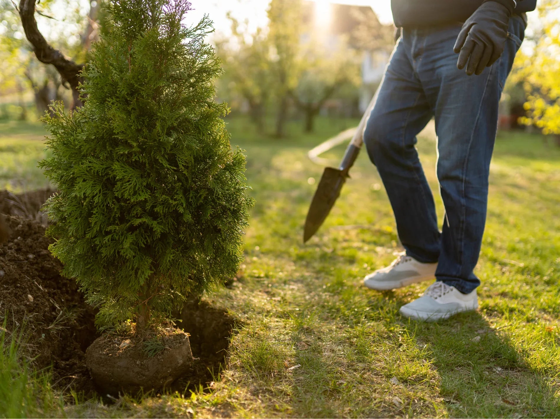 Winter Planting in Mild Climates: A Southern Gardener’s Guide – Simply ...