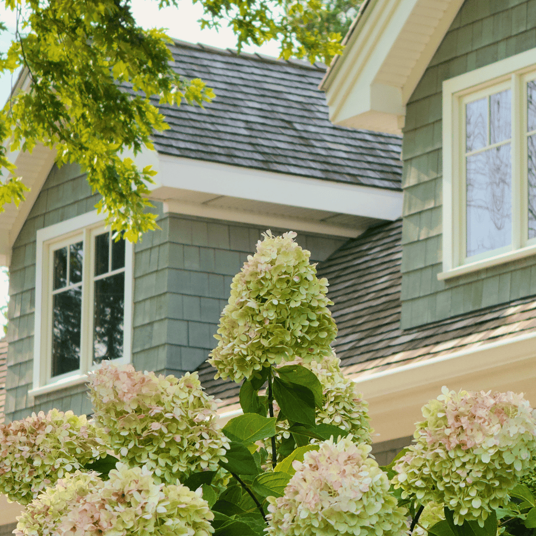 Simply Trees - America's Premier Online Nursery & Garden Center