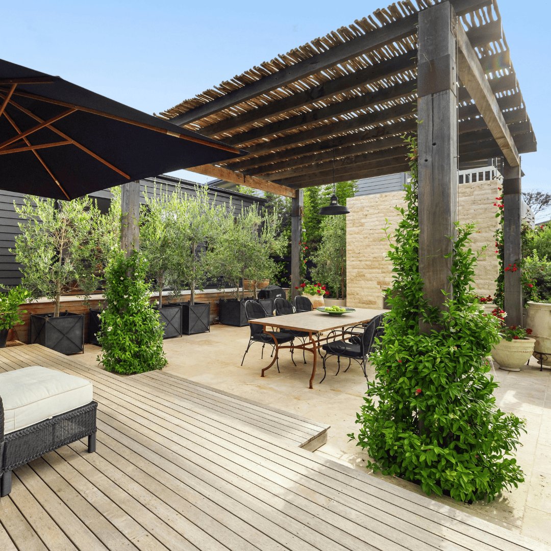 Simply Trees | Shop House & Patio Plants | Premium Plants Delivered