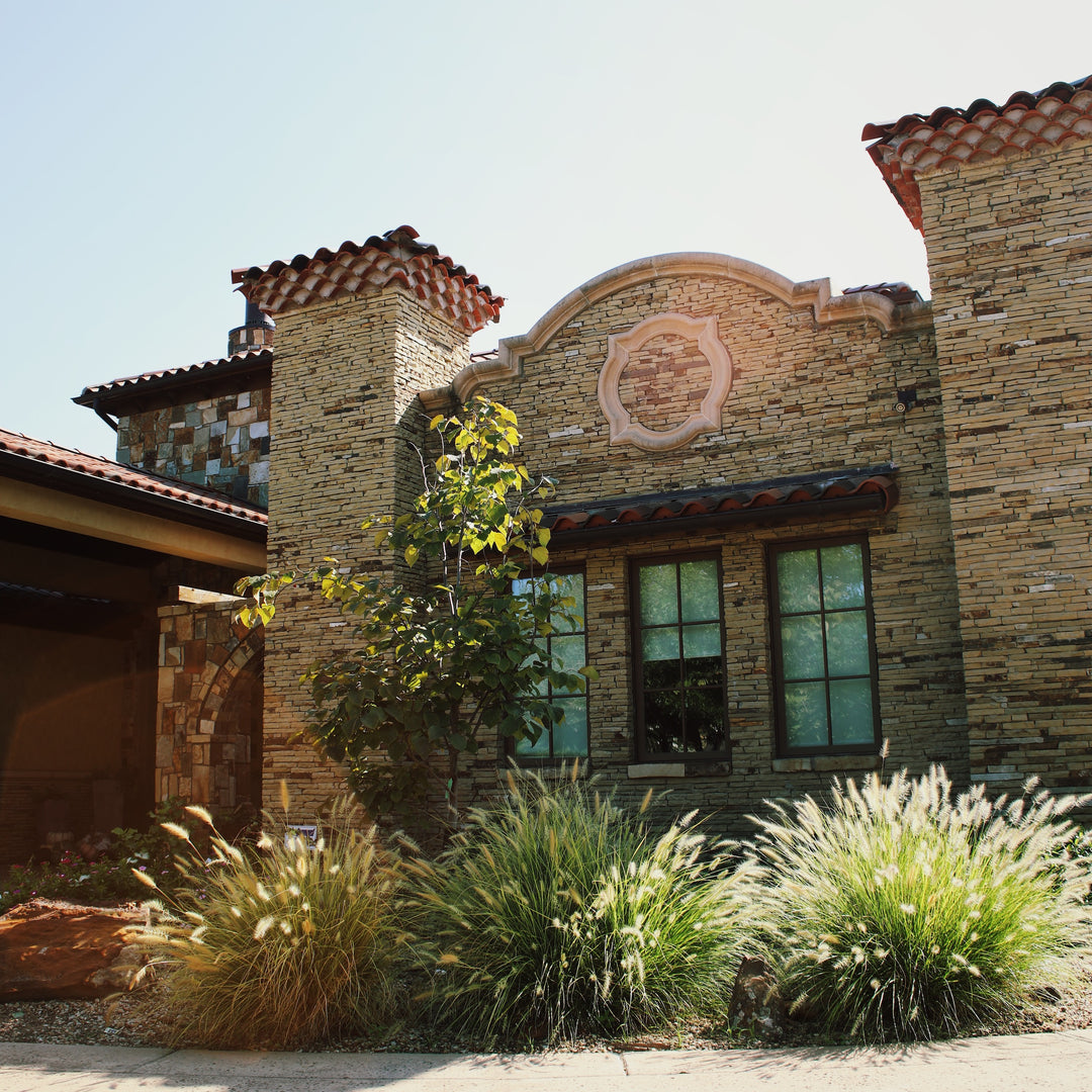 Best Online Store to Buy Plants & Trees – Simply Trees