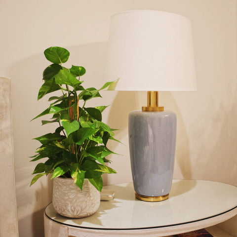 Small House Plants | Tabletop House Plants and Gifts – Simply Trees