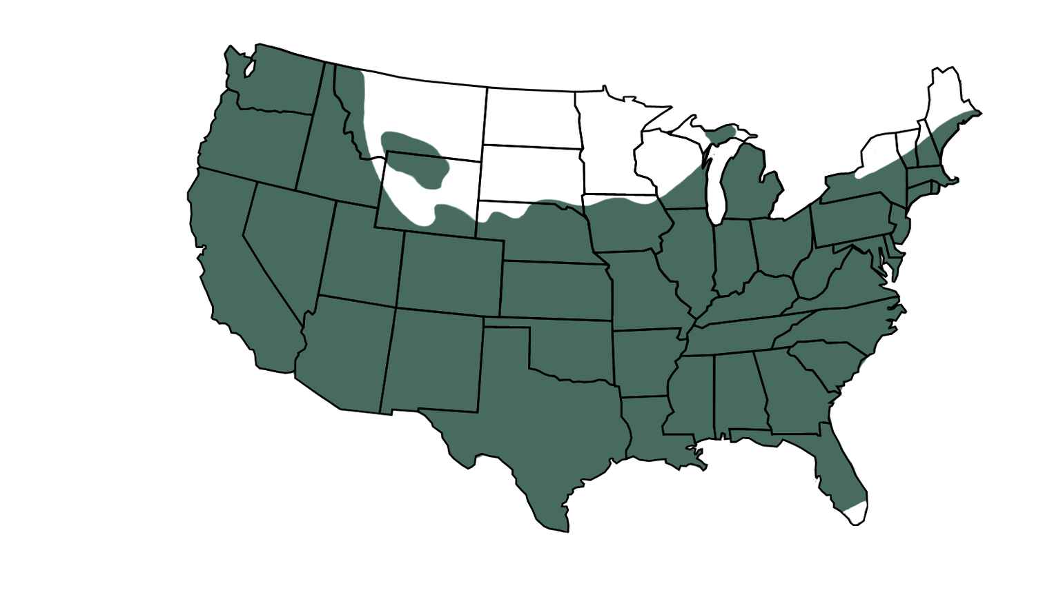 Elberta Peach Tree | Fresh Peach Tree | Organic Garden – Simply Trees